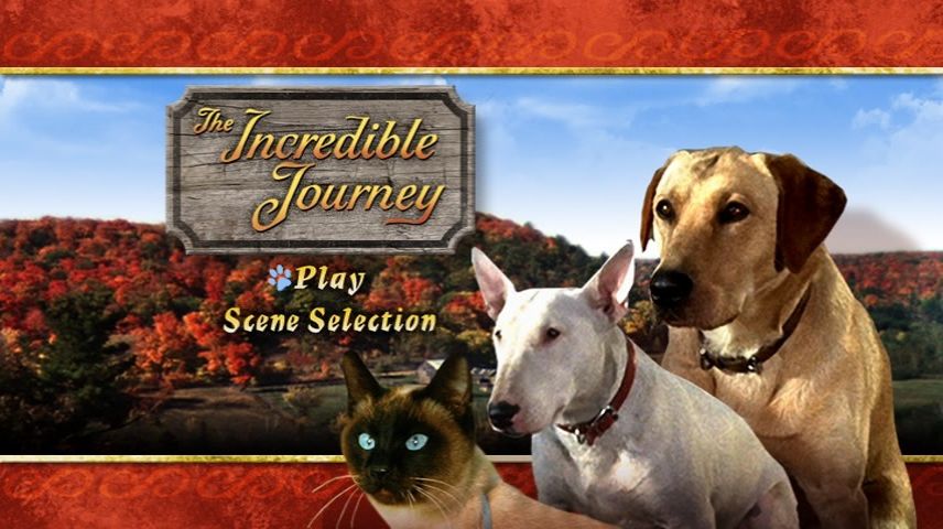 The Incredible Journey (1963) – DVD Menus