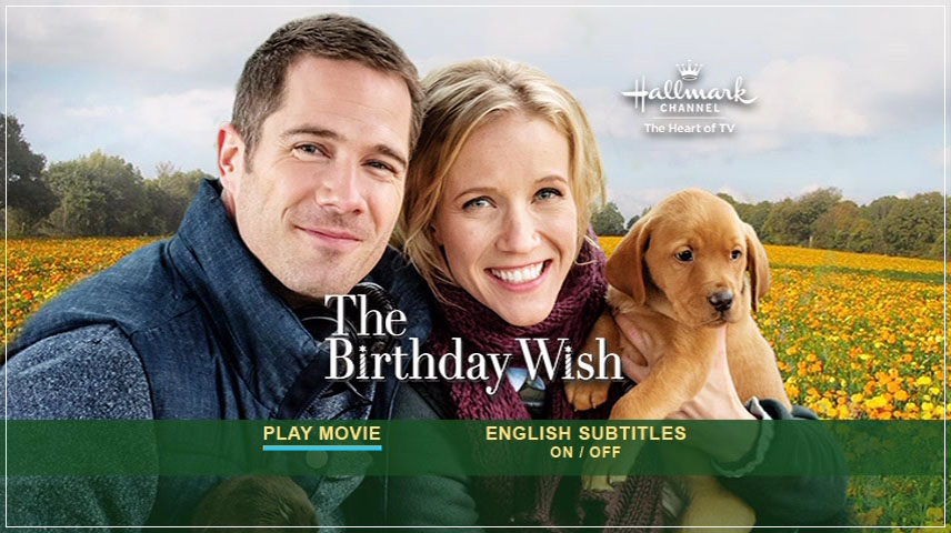 The Birthday Wish (2017) – DVD Menus