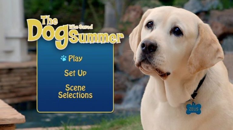 The Dog Who Saved Summer (2015) – DVD Menus