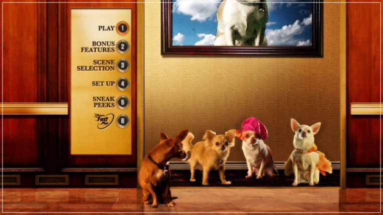 Frances Fisher – DVD Menus